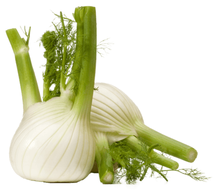 Alleen de beste ingrediënten | Hondenbrokken.nl